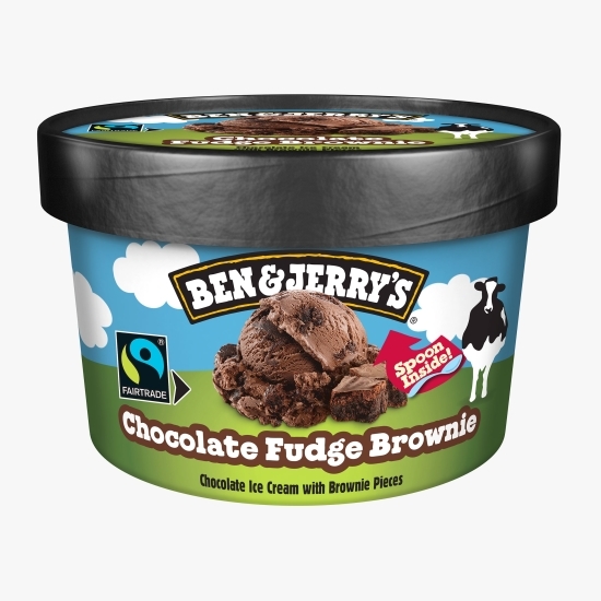 Înghețată cu cacao şi cu bucăţele de negresă, 100ml (72g) - Prospețime și varietate - Freshful.ro